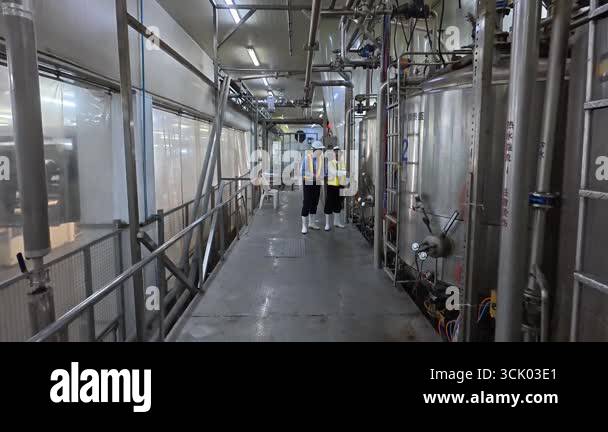 line process working in food factory Stock Video Footage - Alamy