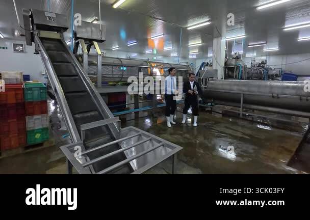 line process working in food factory Stock Video Footage - Alamy