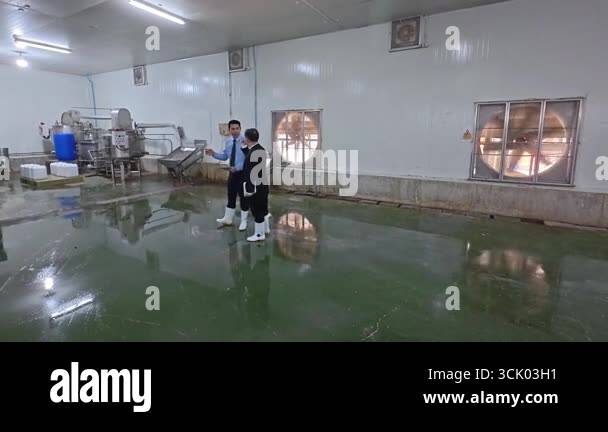 line process working in food factory Stock Video Footage - Alamy