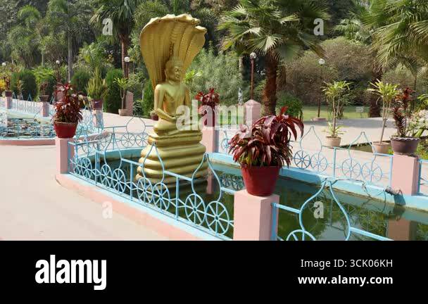 golden buddha statue sitting on holy snake at outdoor Stock Video ...