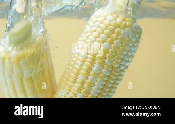 Fresh Corn Cobs Immersed in Water With Bubbling Effect Slow Motion ...