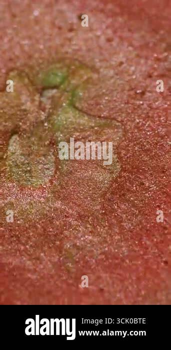 Vertical video. Glitter explosion. Shimmering spill. Orange copper ink ...