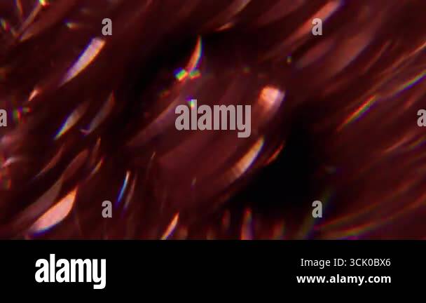 Reflection glare. Blur glow light. Defocused bronze yellow blue colorful spectrum spark bokeh ...