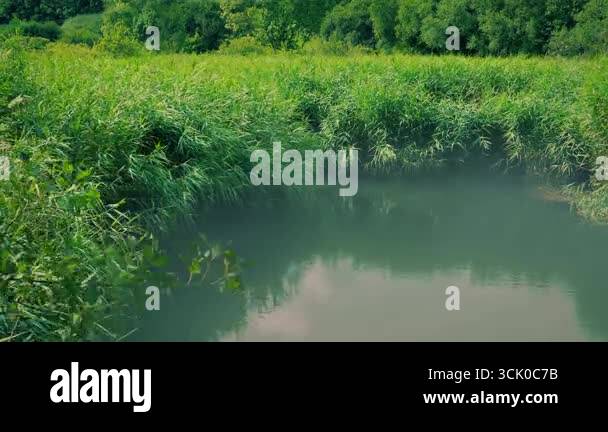 Marsh gas Stock Videos & Footage - HD and 4K Video Clips - Alamy