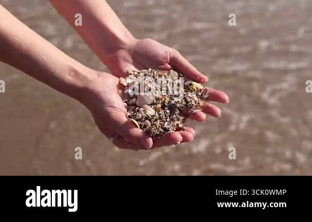 Close-up of female hands holding a handful of shells and sea sand ...