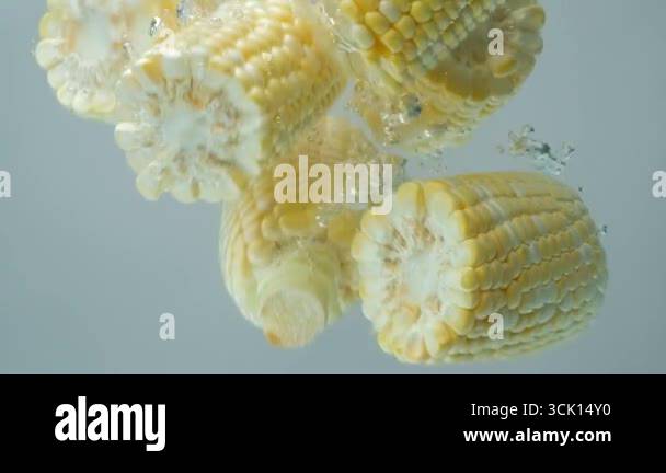 Closeup of Corn Cobs Falling Into Water With Air Bubbles Stock Video ...
