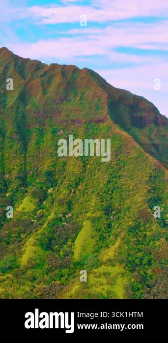 Steep slopes of a volcanic crater densely covered with green vegetation ...