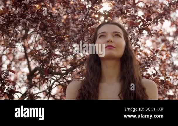 Elegant young woman stands silently beneath sakura tree, sun shining behind her. Captures themes ...