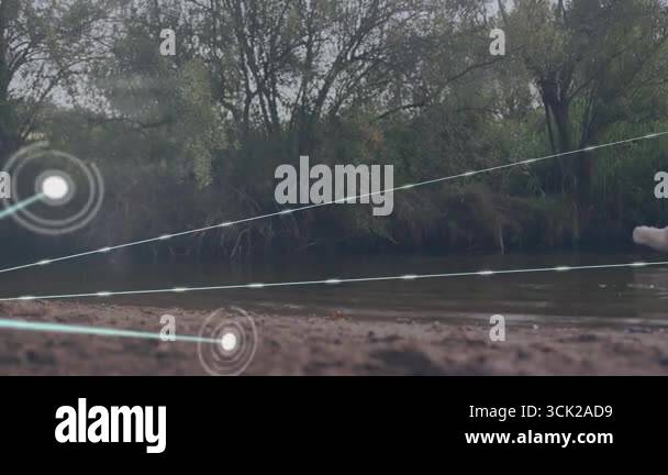 Glowing nodes appearing over shore expanding network tracking golden ...