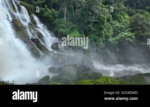A strong waterfall cascading through a lush green forest during the ...