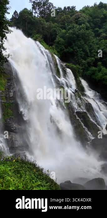 A strong waterfall cascading through a lush green forest during the ...