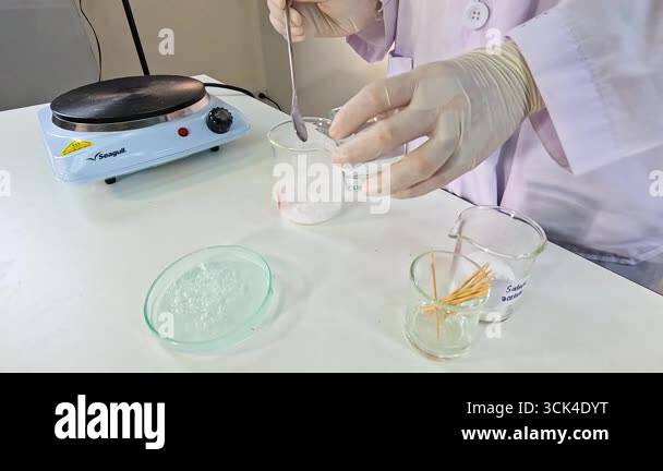 Scientist conducts sodium acetate crystallization using beakers and hot ...