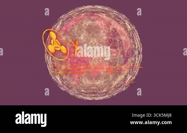 Digital mesh sphere fading into view, rotating as alert icon and texts ...