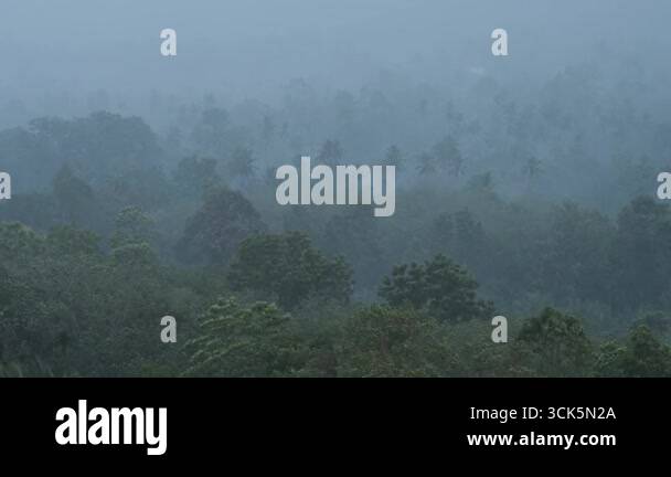 Rain and mist over tree forest and mountain Stock Video Footage - Alamy