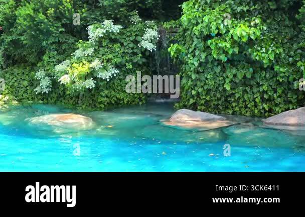 Serene water scene features a gentle waterfall cascading into a tranquil pool, framed by lush ...