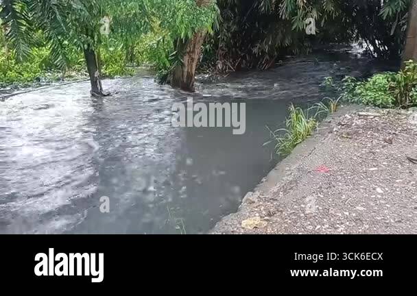 Strong current in the river, waters turned muddy after heavy rains in ...