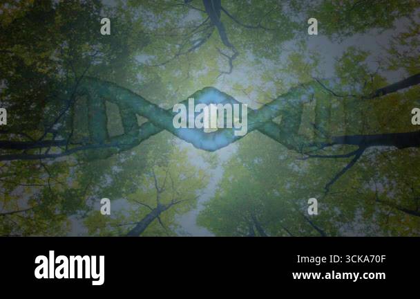 Sunlight filtering canopy starting teal-blue DNA helix pulsing and ...