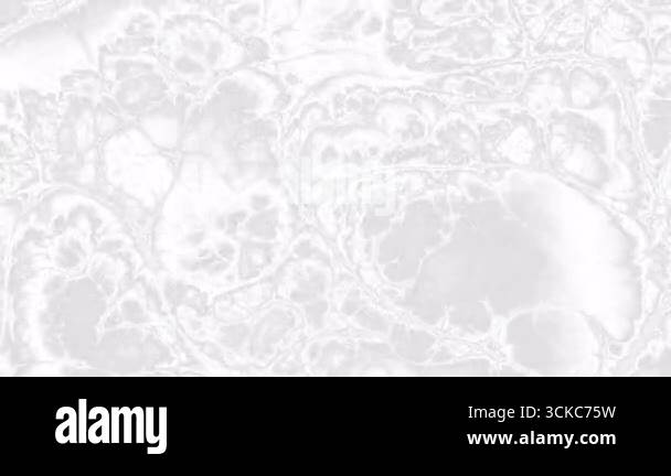 Abstract paint ink in motion. Psychedelic looped background footage ...