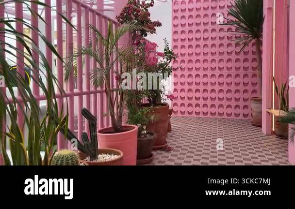 Pink covered pedestrian walkway with metal railings on either side ...