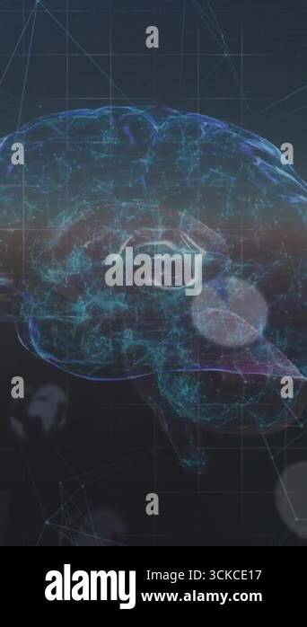 Animation of human brain with digital interface data processing. global connections, data ...