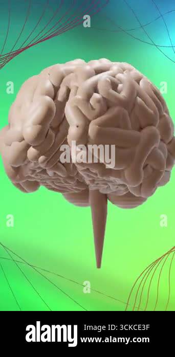 Animation of rotating brain over 3d network structure on soft green background. Abstract, data ...