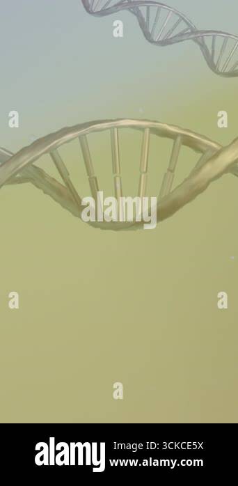 Animation of bubbles over dna strands on green background. Science ...