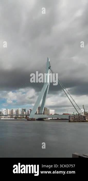 Erasmus Bridge timelapse hyperlapse, spanning the Maas River in ...