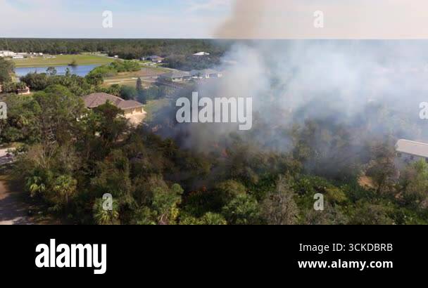 Vegetation fire burns through forested area near suburban houses in ...