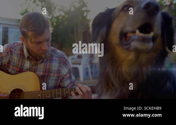 Man pressing frets, strumming guitar chords on patio while dog panting ...