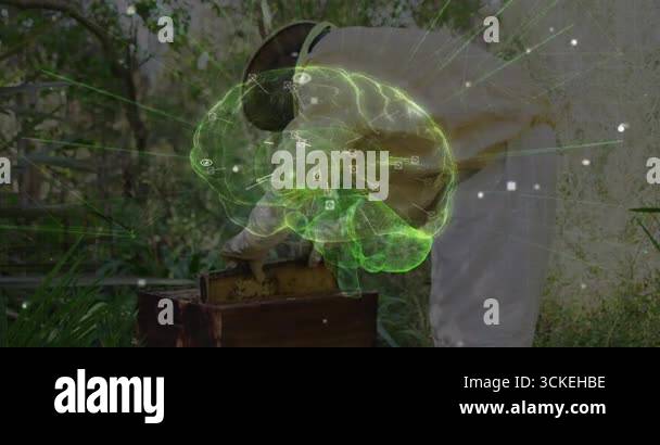 Beekeeper lifting hive frame, inspecting bees, causing green brain tech hologram growing around ...