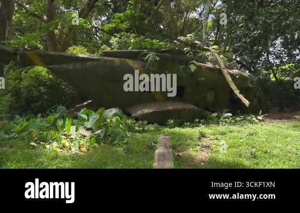 Old movie helicopter prop left in Hawaiian jungle, now covered with ...