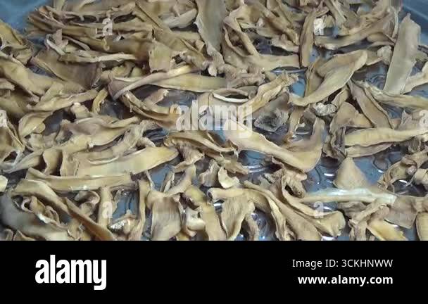 Bamboo shoots are peeled, sliced and dried. Dried bamboo shoots are ...