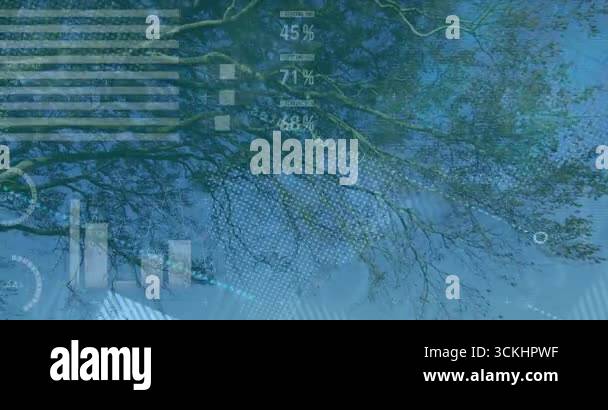 Upon bar lines appearing, data overlay animating gauges and charts ...