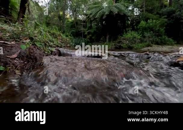 Serene creek Stock Videos & Footage - HD and 4K Video Clips - Alamy