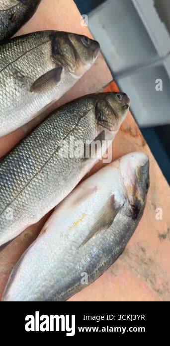 High-quality images of freshly caught fish on a cutting board, perfect ...