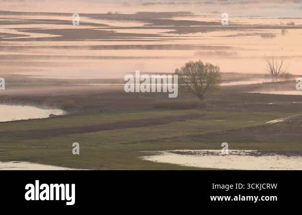 Field flooded overflow from Stock Videos & Footage - HD and 4K Video ...