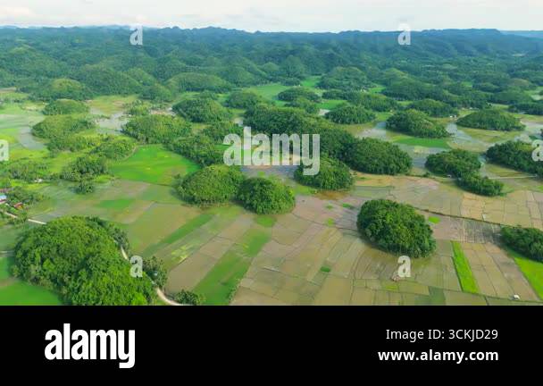 Aerial view of numerous green, dome-shaped hills, surrounded by ...