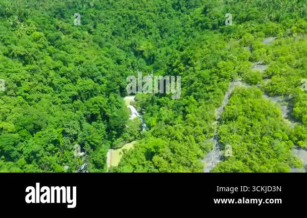 Aerial view of a dense tropical forest with a winding river and small ...