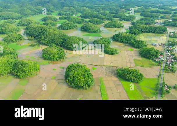 Aerial view of rounded geological formations, Chocolate Hills, with ...