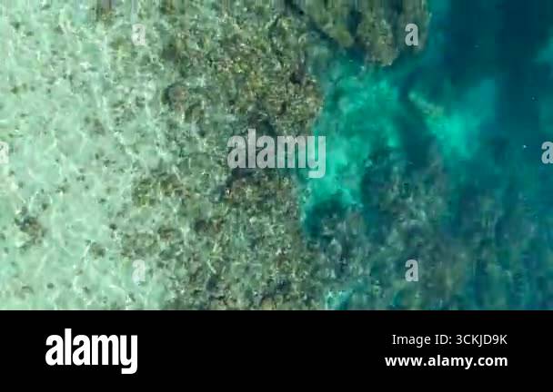 Aerial view of clear turquoise ocean water, coral reefs, and sandy ...