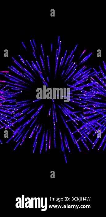 Animation of colourful christmas and new year fireworks exploding on ...