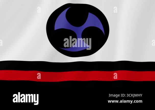 Ryukyu Waving Flag. Realistic Flag Animation. Seamless Loop Background ...