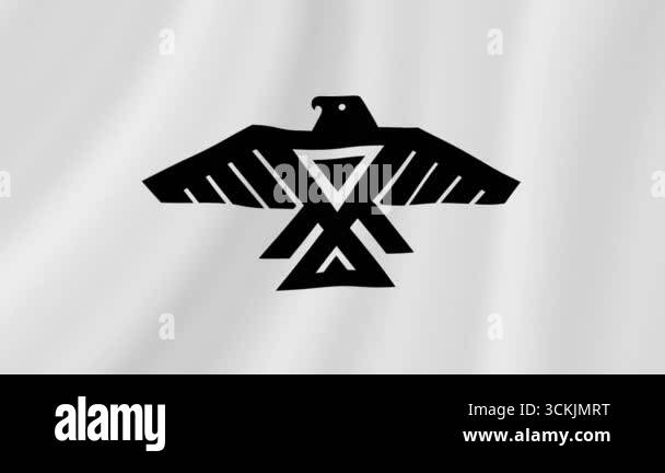 Anishinabe Waving Flag. Realistic Flag Animation. Seamless Loop ...