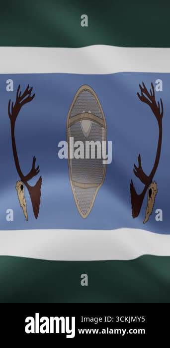 Innu Nation Waving Flag in Vertical Orientation. Realistic Flag ...