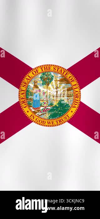 Florida State Flag Waving Animation Vertical Video Format Stock Video ...
