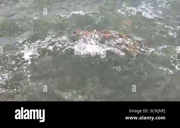 High angle wide shot of ocean waves with floating trash and debris ...
