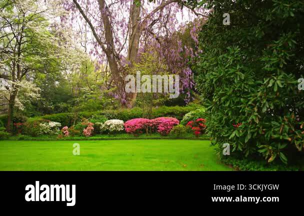 Fancy garden in blossom, with bright blooming flowers and green bright ...
