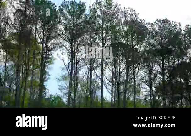 POV view from passenger side in the car driving on the highway on ...