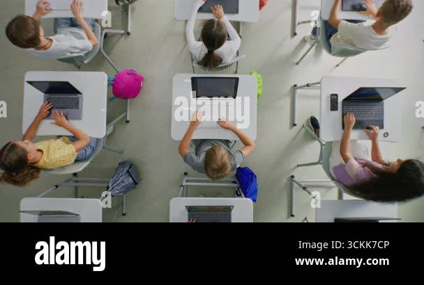 Primary School Students Working on Creative Projects on Laptops ...