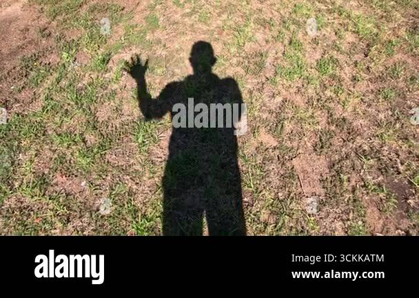 Shadow waving on grassy ground in sunlight Stock Video Footage - Alamy